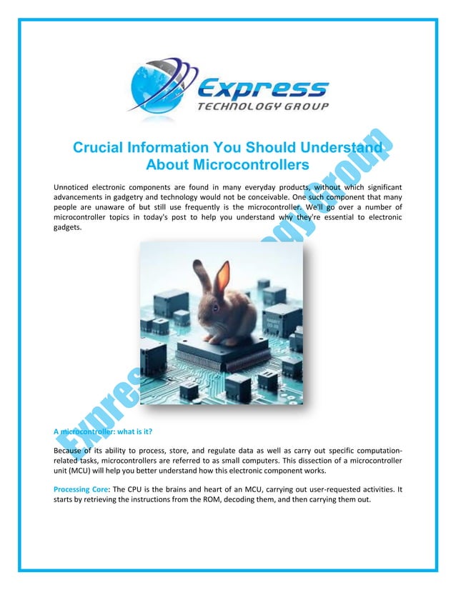 Unleash Innovation with Rabbit Semiconductor Microcontrollers | PDF | Computer Peripherals ...