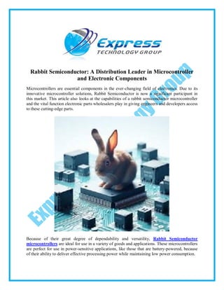 Reliable Rabbit Semiconductor Microcontrollers | PDF