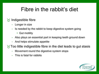 Rabbits - Fibrevores | PPTX