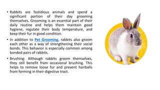 Rabbits Grooming.pptx