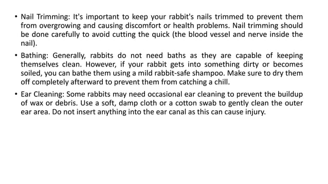 Rabbits Grooming.pptx