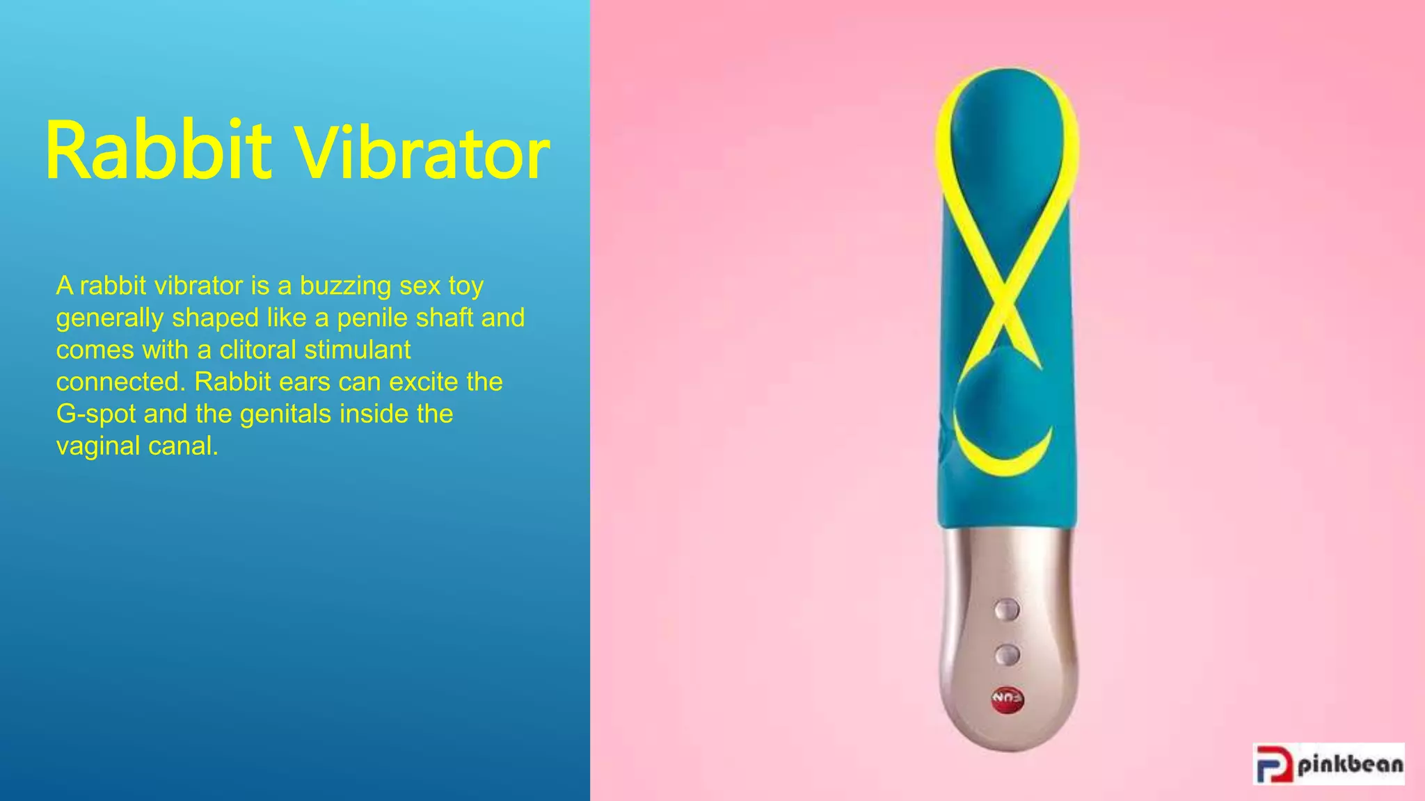 Rabbit Vibrator.pptx