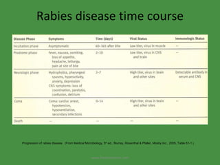 Rabdo Rota Virus | PPT