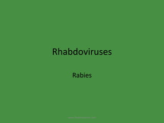 Rabdo Rota Virus | PPT