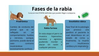 RABIA, cuadro clinico, prevencion, sintomas.pptx