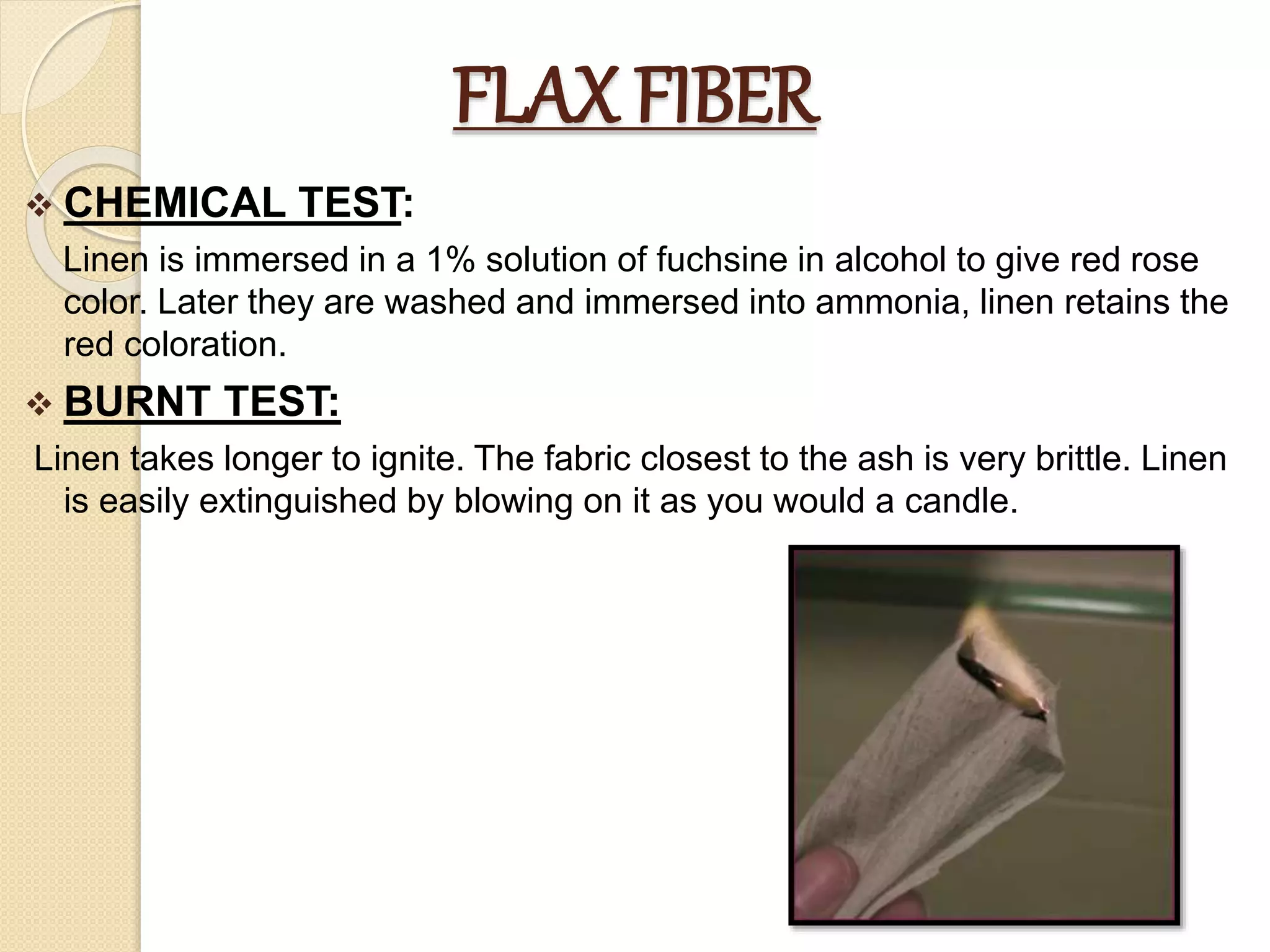 Rabia assignment 2 | PPTX