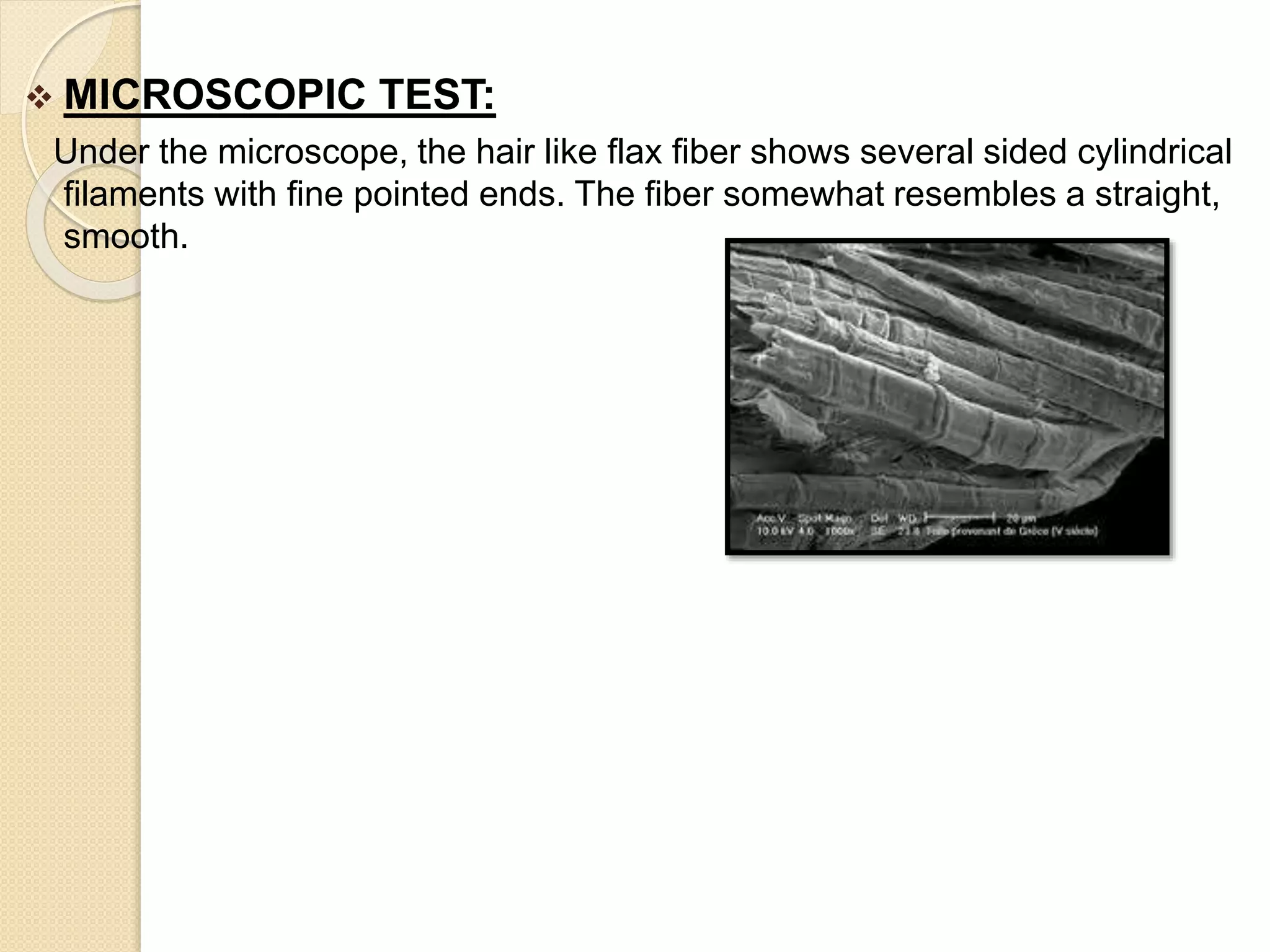 Rabia assignment 2 | PPTX