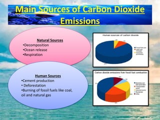 reducation of co2 and its application to environment. | PPTX