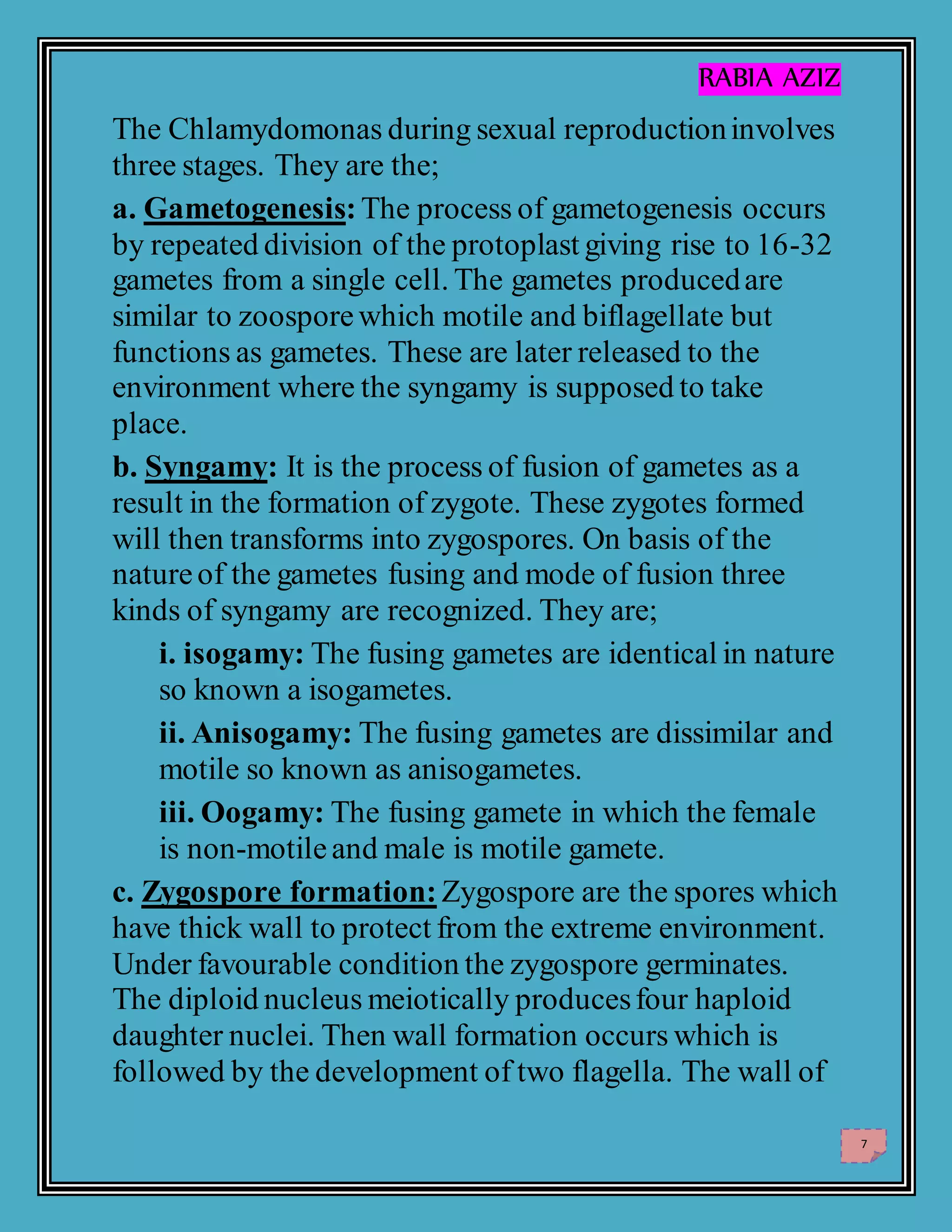 Chlamydomonas Assignment | DOCX