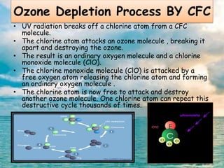 Ozone layer Depletion, Environmental Chemistry | PPTX