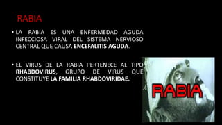 Rabia humana | PPTX