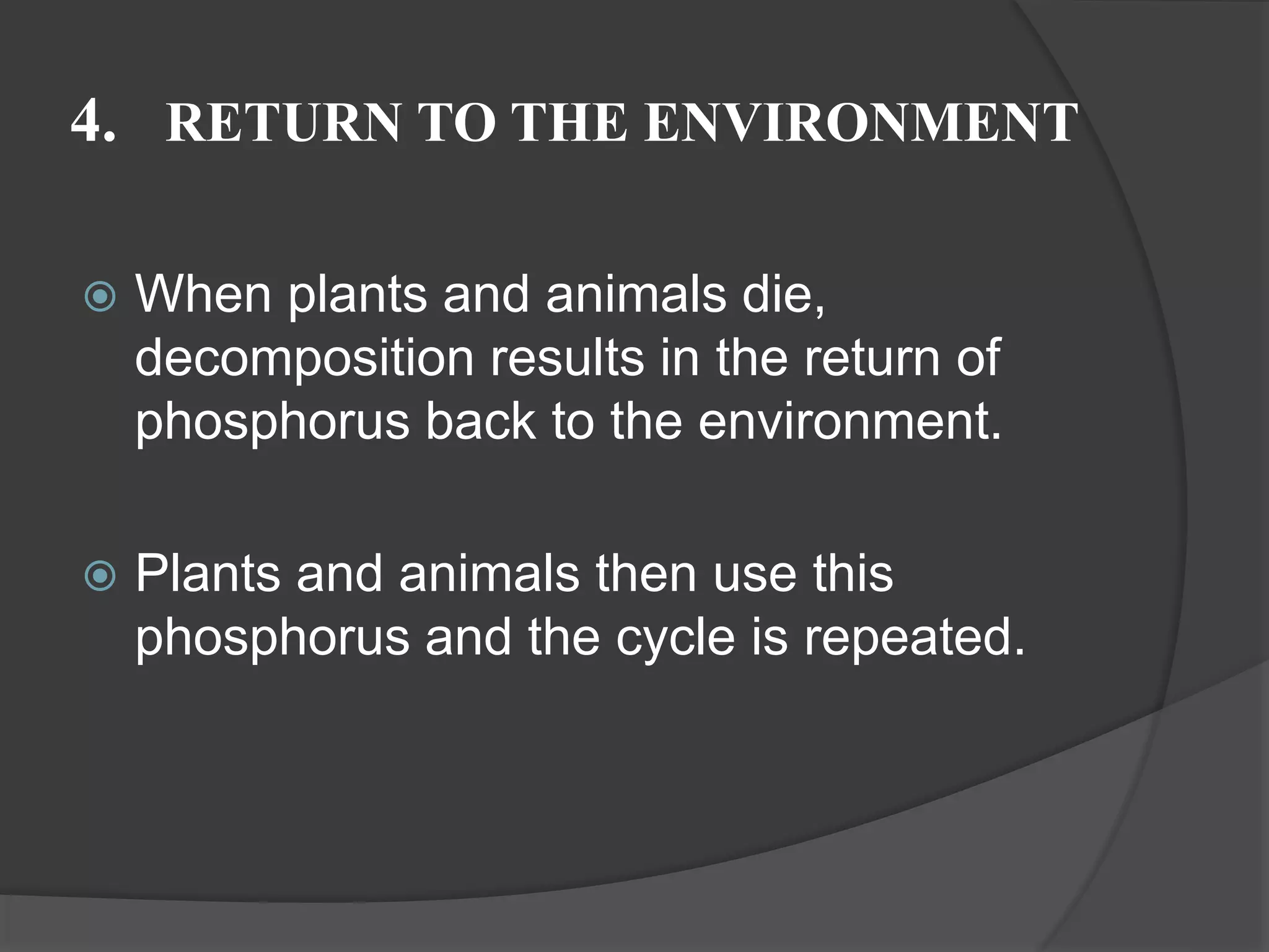 Biogeochemical cycle Phosphorus cycle | PPTX
