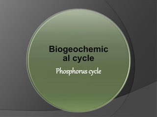 Biogeochemical cycle Phosphorus cycle | PPTX