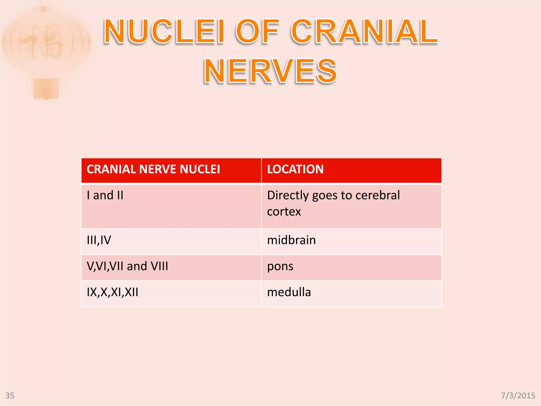 Localization of CNS lesions | PPTX