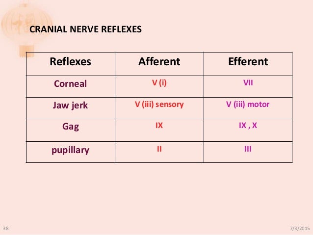 Localization of CNS lesions