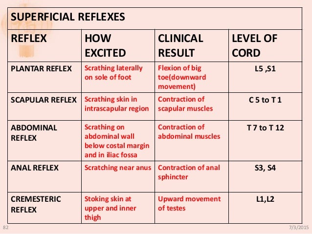 Localization of CNS lesions
