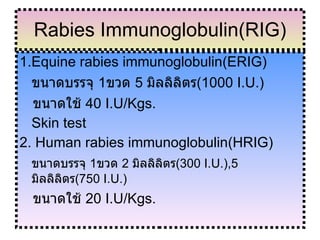 Rabies | PPT
