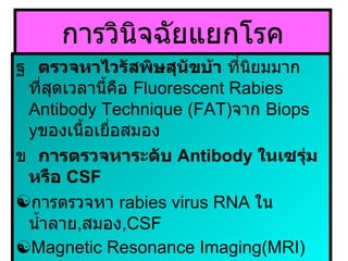 Rabies | PPT