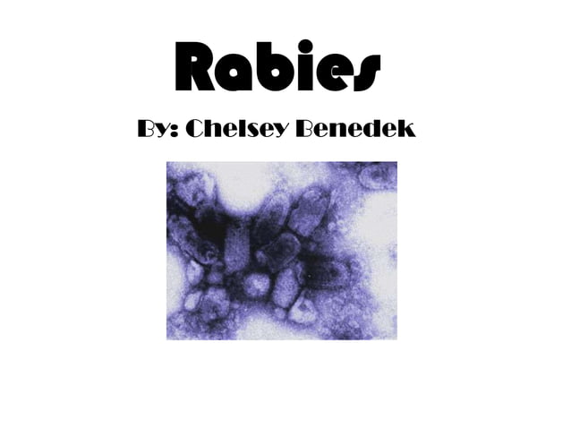 Rabies | PPT