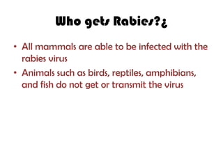 Rabies | PPTX