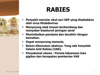 Rabies | PPTX