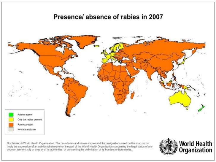 Rabies