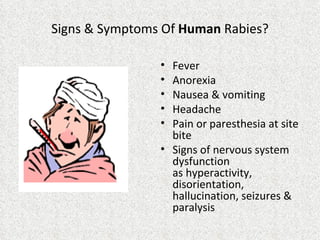 Rabies | PPT