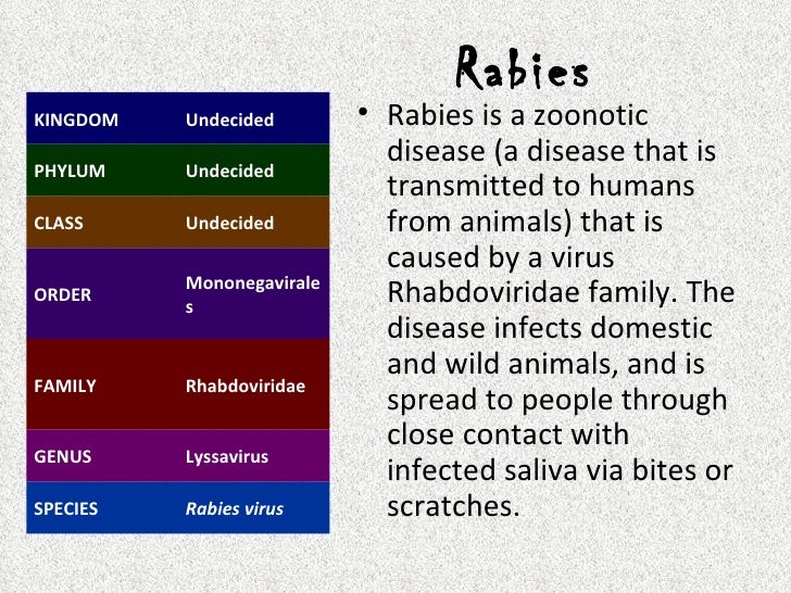 Rabies