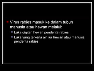 Rabies | PPT