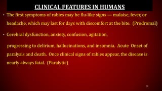 Rabies | PPTX