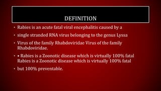 Rabies | PPTX