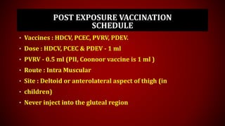 Rabies | PPTX