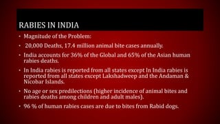 Rabies | PPTX
