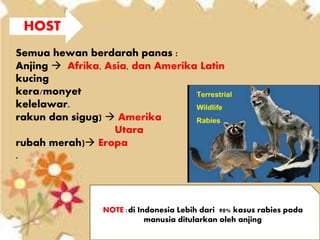 Rabies veteriner | PPTX