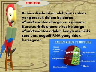 Rabies veteriner | PPTX