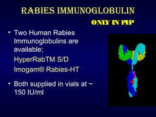 Rabies: Considerations to Nursing | PPT