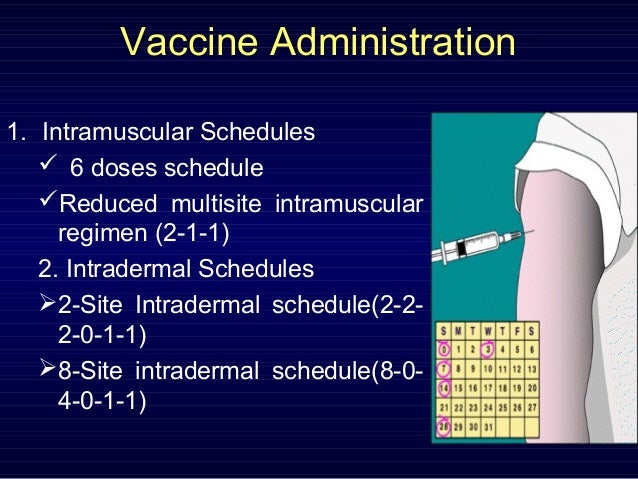 Rabies: Considerations to Nursing