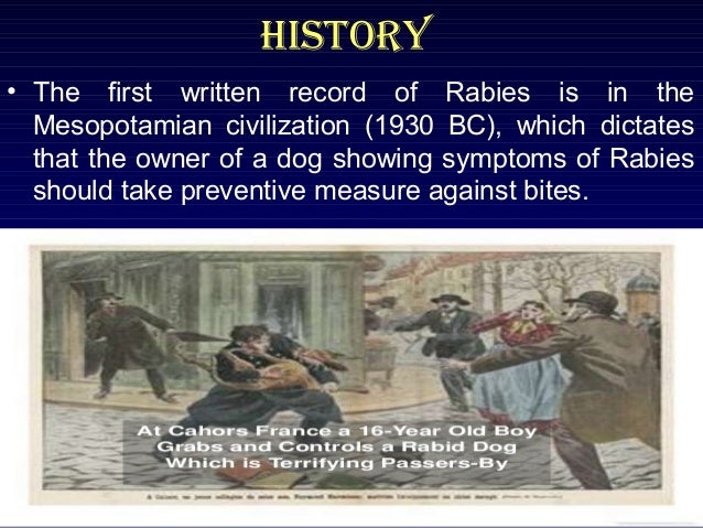 Rabies Considerations To Nursing