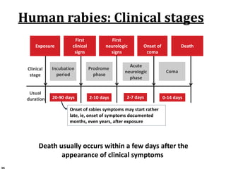 Humans With Rabies Symptoms