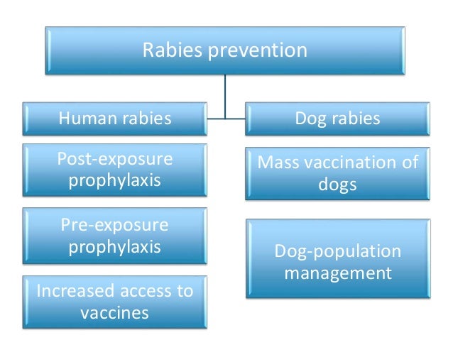 Rabies
