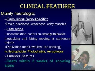 Rabies | PPT