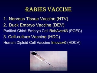 Rabies | PPT