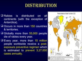 Rabies | PPT
