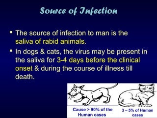 Rabies | PPT