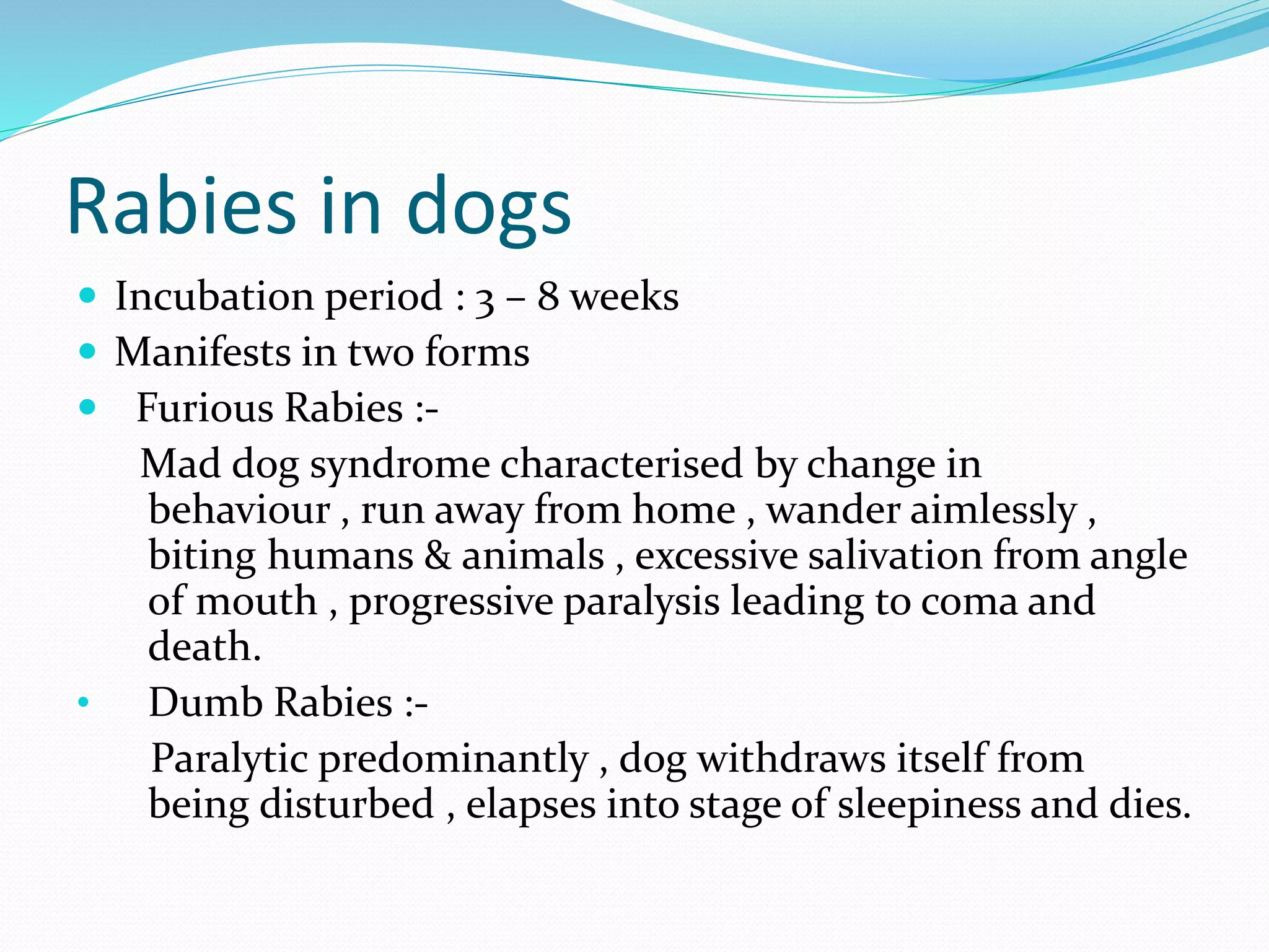 Rabies Powerpoint Presentation aerophobia, dog bite prophylaxis ...