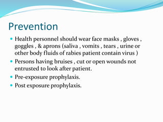 Rabies Powerpoint Presentation aerophobia, dog bite prophylaxis ...