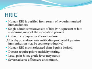 Rabies Powerpoint Presentation aerophobia, dog bite prophylaxis ...