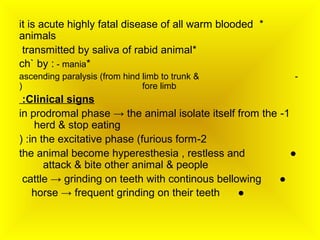 Rabies | PPS
