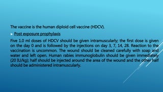 Rabies | PPT