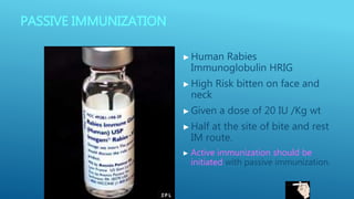 Rabies | PPT
